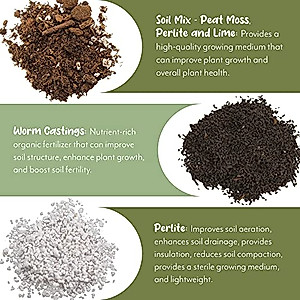 Lucky Bamboo Plant Potting Mix (2 Quarts), Custom Soil Mix for Repotting