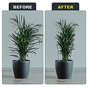 Howise 14 Pack Tall Plant Support Stakes, 10" Wide x 24" High Metal Peony Cages and Supports Rings, Plant Stakes for Outdoor Indoor Plants, Tomato, Hydrangea, Flower Garden Plant Support