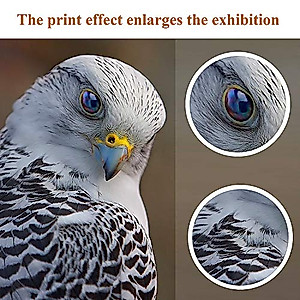 5-Pack (2BK+C+M+Y) Cartridge TN223BK,TN223C,TN223M,TN223Y Toner Cartridge Replacement for Brother MFC-L3770CDW L3710CW L3750CDW L3730CDW HL-3210CW 3230CDW 3270CDW 3290CDW DCP-L3510CDW L3550CDW Printer