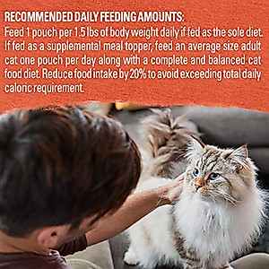Purina Beyond Natural Cat Food Complement, Mixers+ Digestive Support Wild Salmon & Pumpkin Recipe - (16) 1.55 oz. Pouches