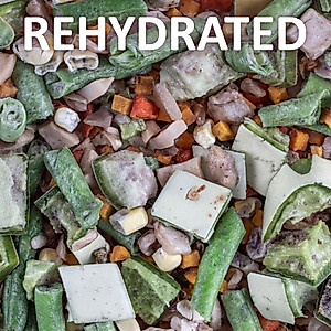 Healthy Herp Tortoise Food Instant Meal 7.7-Ounce (220 Grams) Jar