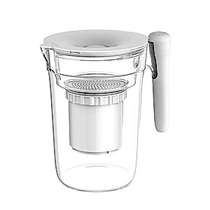 InvisiClean Water Pitcher Replacement Filter (2)