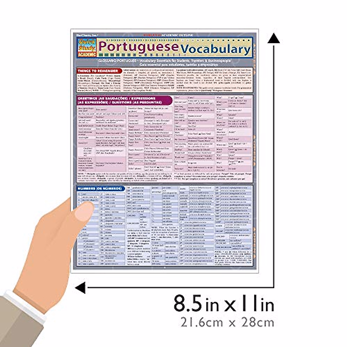 Portuguese Vocabulary QuickStudy Laminated Reference Guide (QuickStudy Academic)