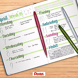 Pentel Brush Sign Pen Pastel colors SES15C - Brush Nib - Fibre Tip