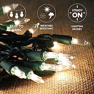 Joiedomi Clear Christmas Lights Outdoor, 200(2x100) Counts 45FT Christmas Tree Lights Indoor, Warm White String Lights, Green Wire Xmas Lights Decorations for Holiday Event Wedding Party Decor