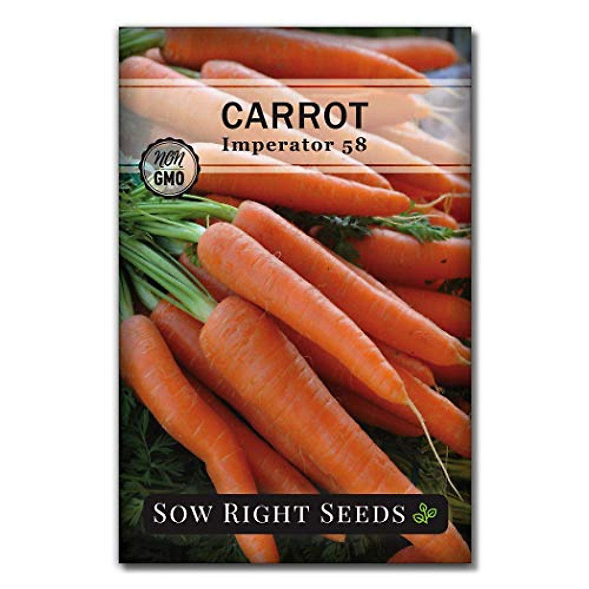 Sow Right Seeds - Spring Vegetable Seeds Collection for Planting - Individual Packets Basil, Broccoli, Carrot, Onion, Cauliflower, and Peas, Non-GMO Heirloom Seeds to Plant an Outdoor Home Garden