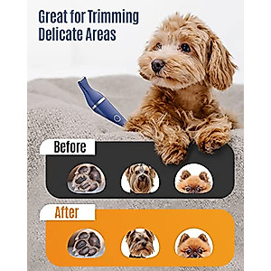Dog Paw Trimmer , 2-Speed Small Dog Clippers for Face, Ear, Pet Grooming Tool for Cats Rabbits