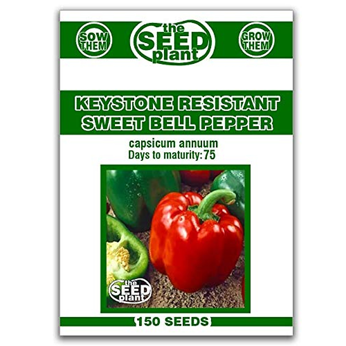 Keystone Resistant Sweet Bell Pepper Seeds 150 Seeds Non-GMO
