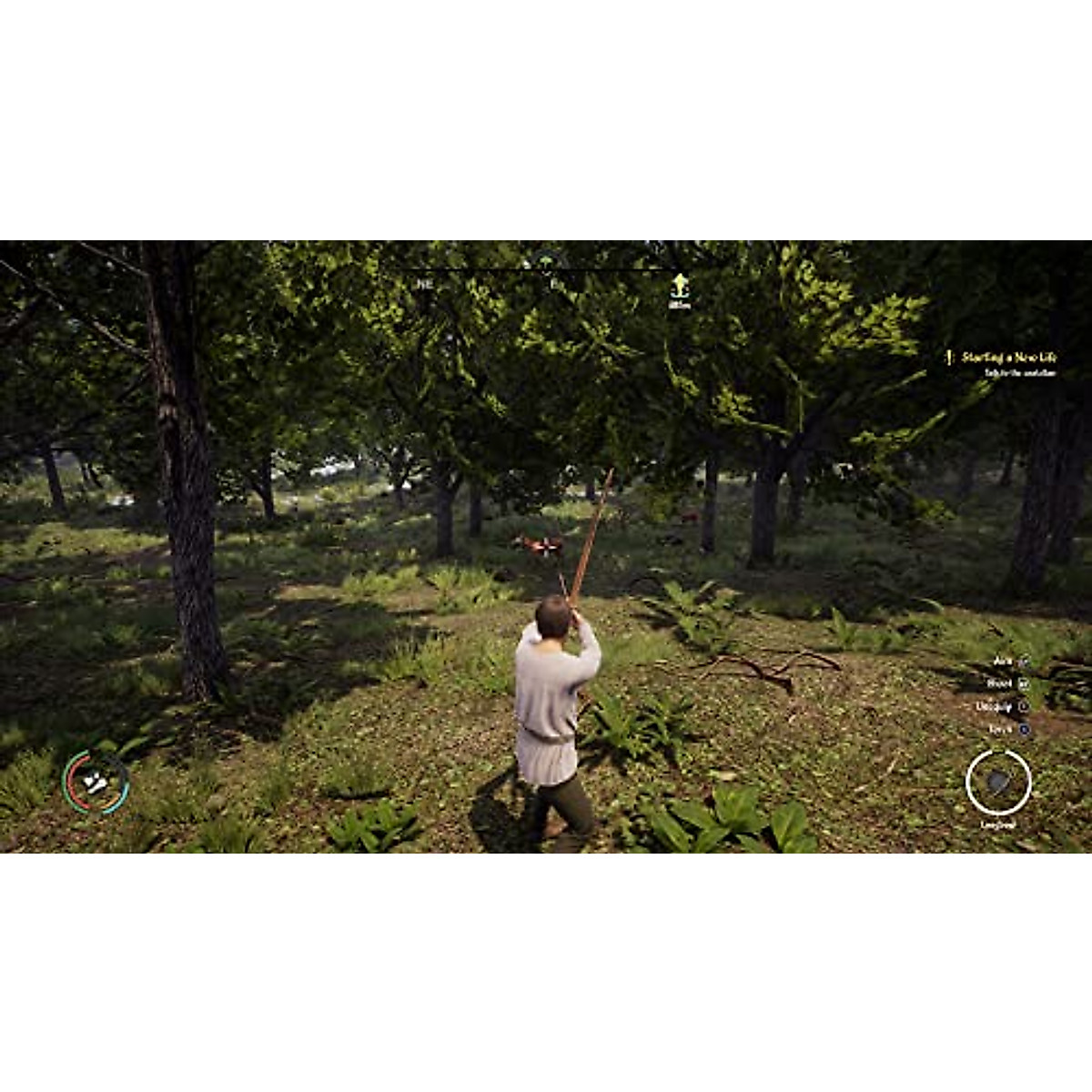 Medieval Dynasty - Xbox Series X