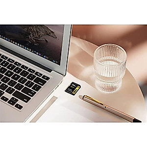 Lexar Gold Series Professional 1800x 256GB UHS-II U3 SDXC Memory Card