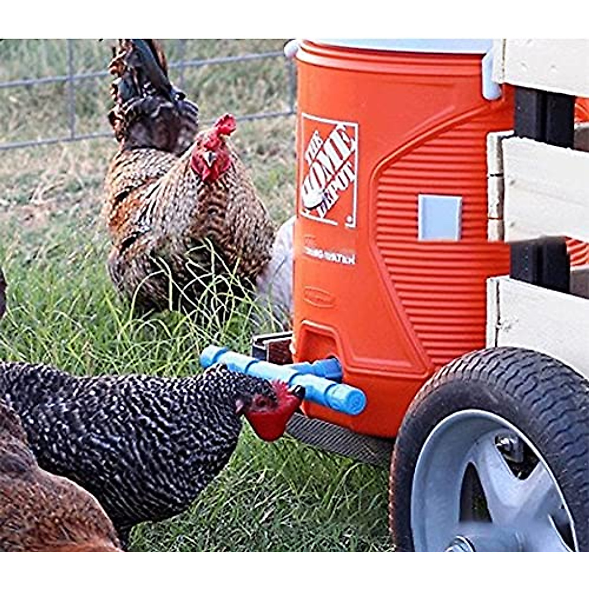 DoubleWood Fully Automatic Poultry Drinking Machine Chicken Drinking Cup, Chicken Drinking Watering Cups/Poultry Drinking Machine (24)