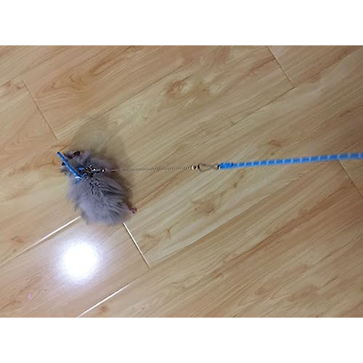 Harikaji Hamster Harness,Adjustable Harness Vest Leash Hamster Chest Straps with a Small Bell Rat Mouse Squirrel Sugar Glider Small Animal (Blue)
