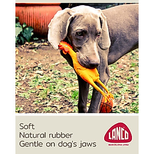 Rubber Chicken Dog Toys - Natural Rubber (Latex) - Lead-Free Chemical-Free - Handpainted - Soft Unstuffed Squeaky (Medium)