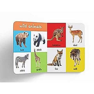 My First 100 Library: Boxset of 5 Early Learning Board Books