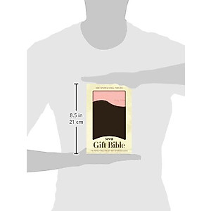 NIV, Gift Bible, Leathersoft, Pink/Brown, Red Letter Edition