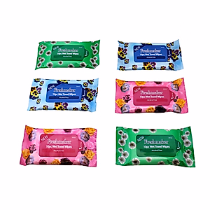 6 Packs Hand Wipes, Wet Wipes, Hand Cleaning Wipes, Hand Wipes for ALL, Travel Wipes 10 Count Travel Size