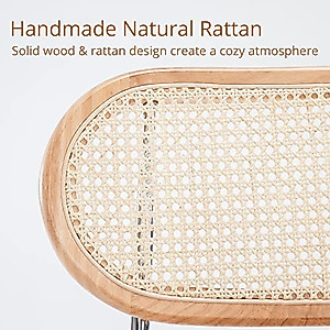 Indoor/Outdoor Faux Leather Bar Stools Set of 2,Rattan and Wood Backrest with Metal Legs, Modern Upholstered Round seat Chair Counter Height Barstool for Bistro Home Restaurant,24",Whiskey Brown