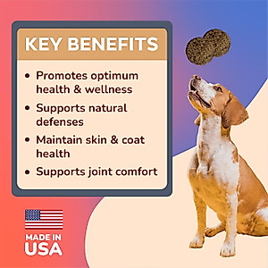 Dog Multivitamin Soft Chews - 120 Count - Dog Joint Supplement, Digestive, Immune, Skin, Coat - Combined Advanced Vitamins for Dogs, All Dog Ages - Made in USA