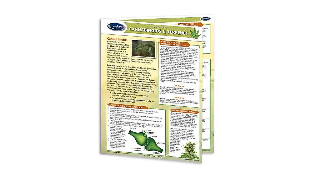 CBD Educational Charts Bundle - Quick Reference Guides