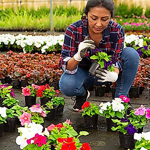 Whonline 40pcs 3/4/5/6 Inch Nursery Pots Variety Pack, Plastic Pots for Plants with Drainage Holes, Black Seedling Pots for Flower, Succulent, Indoor Plants and Outdoor Clearance