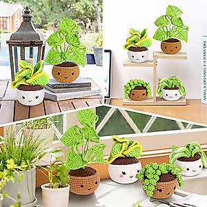 Crochetta Crochet Kit for Beginners, Crochet Starter Kits for Adults with Step-by-Step Video Tutorials, Learn to Crochet Kit Kids, Knitting Craft Supplies, Crochet Plants Indoor Home Decor(40%+ Yarn)