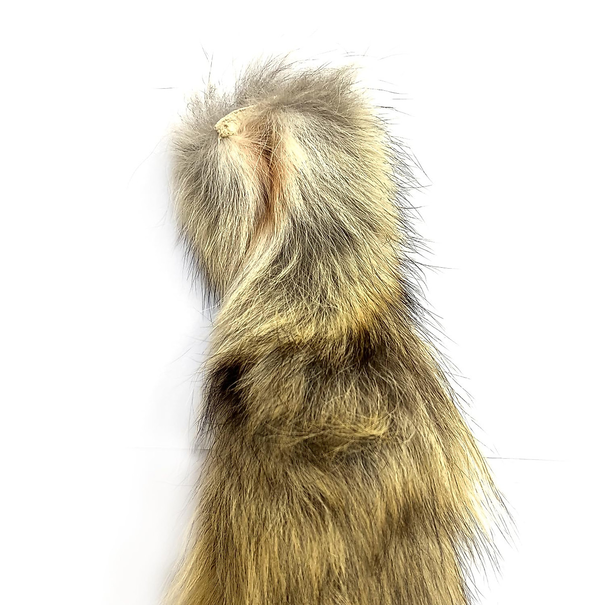 CIFIBIFUN Real Coyote Fluffy Tail Costume Fur Pelts Cosplay and Hides Tails DIY Ornament