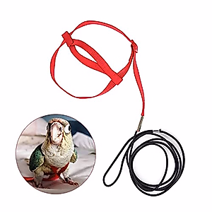 Bird Harness Leash, Parrot Training Harness Cockatiel Traction Rope for Parakeets, Macaws, Parrots, Love Birds