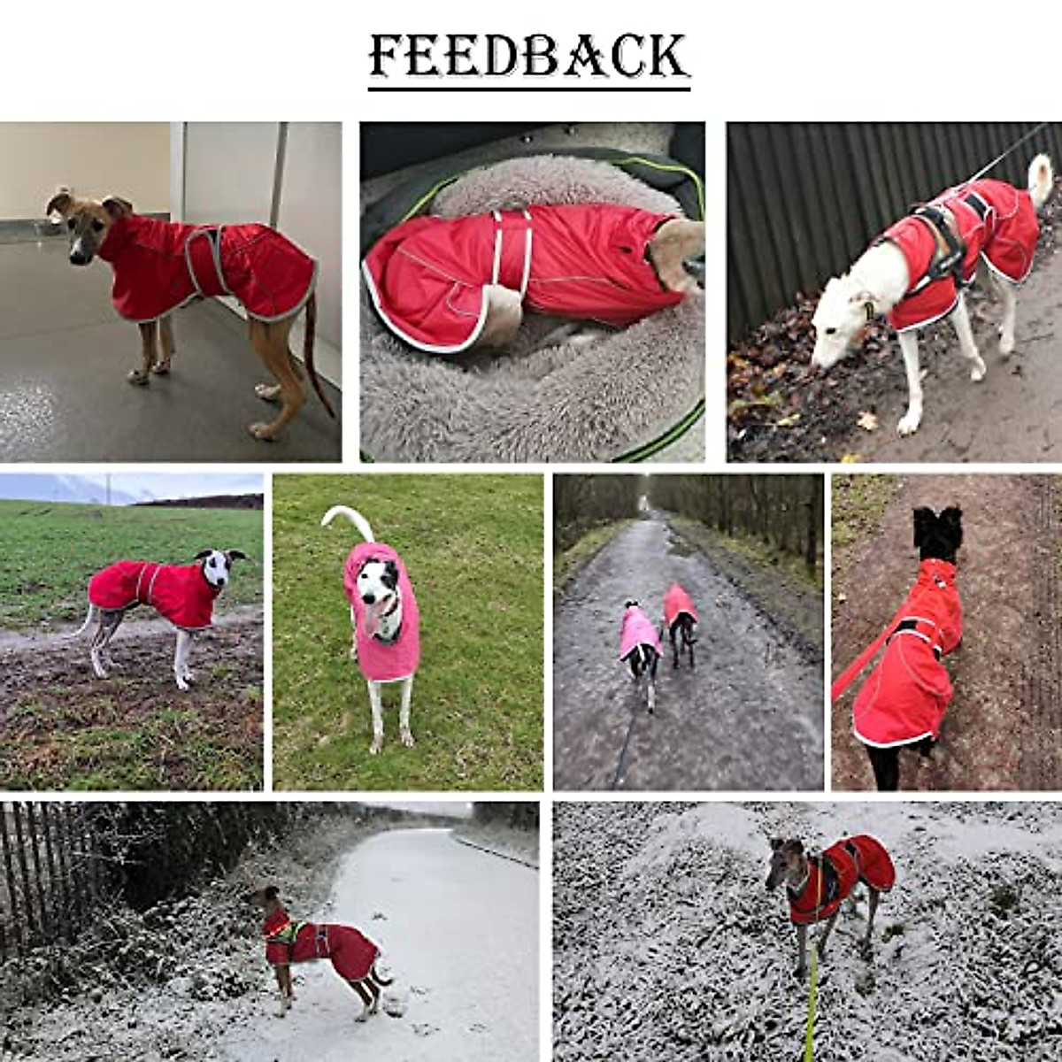 Greyhound Winter Coat, Whippet Coat with Padded Fleece Lining, Water Resistant Dog Jacket with Adjustable Bands and Reflective - Pink - XXLarge