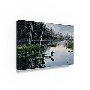 Trademark Fine Art ALI21238-C1219GG Misty Morn