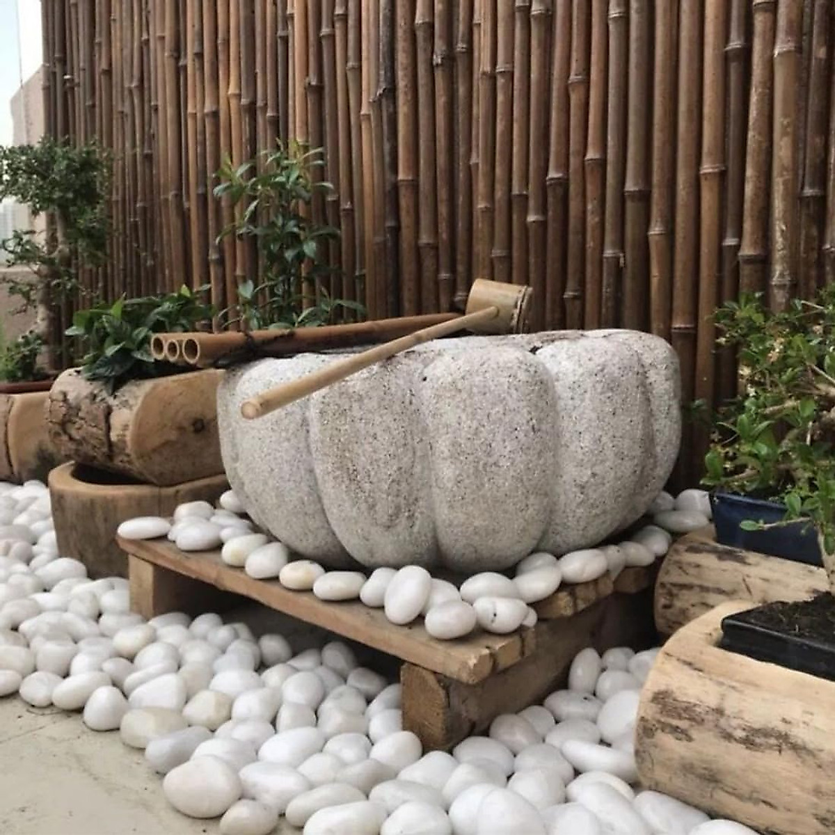 YISZM 20lbs White River Rocks for Landscaping, 2-3 Inch Natural Pebbles for Indoor Plants, High Polished Decorative Stones Vase Filler Fish Tank Aquariums Garden Outdoor and Indoor DIY
