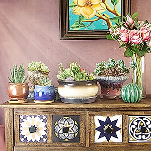 Summer Impressions 8 Inch Glazed Terracotta Plant Pot Round Ceramic Succulent Planter Pot with Drainage and Saucer Cactus Clay Pot Bonsai Pot