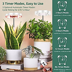 Grow Light Full Spectrum Plant Light for Indoor Plants, Height Adjustable Growing Lamp with Auto On/Off Timer 3/9/12H, 10 Dimmable Levels, 3 Light Modes Small Plant Grow Light