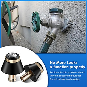 Ceoighe 2 Pack Springless CHK Valve Replacement for PK2016 420 Series, Springless Check Assembly Compatible with Arrowhead Frost-Proof Wall Hydrants, Repair Parts for Stem Assembly