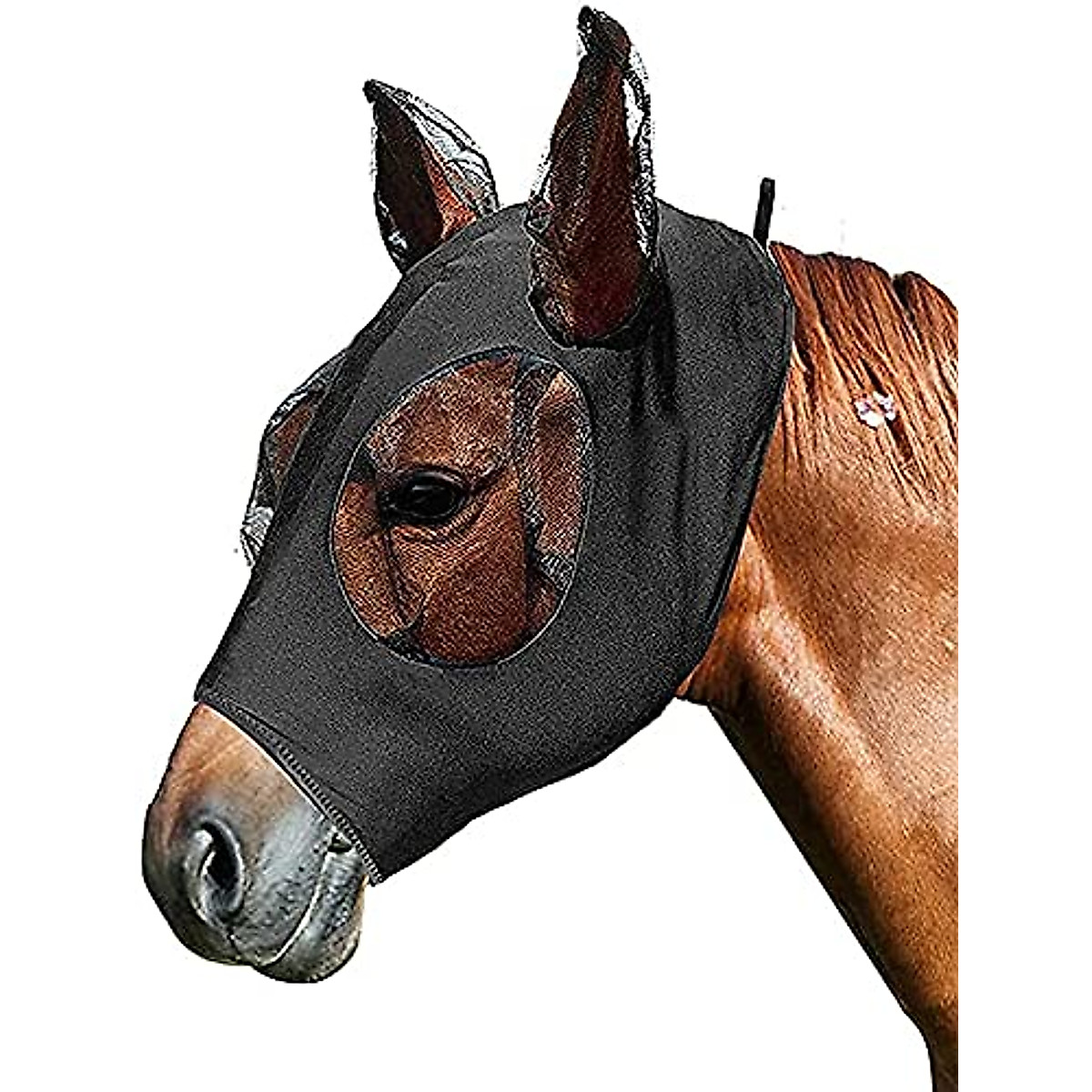 fadumnle Horse Mask, Horse Fly Mask，Horse Mask with Ears,Super Comfort Elasticity Fly Mask with UV Protection for Horse-Checker Board(Black, Blue)