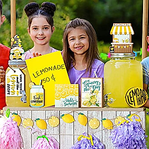 Qunclay 13 Pieces Fresh Lemon Tiered Tray Decor Wooden Lemonade Themed Home Decorations Farmhouse Summer Table Decor Rustic Wood Lemonade Sign for Kitchen Living Room Party Gifts