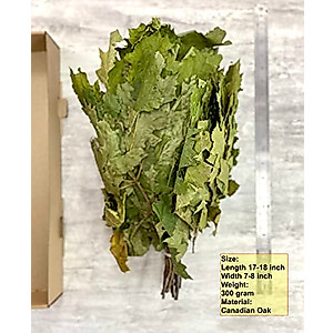 ECOVENIK - Natural Canadian Oak Branches Dry for a Sauna Accessories for Banya 100% Handmade (Made in Europe)