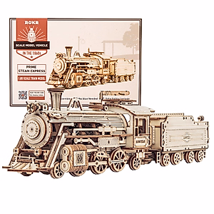 ROKR 3D Wooden Puzzle for Adults Mechanical Car Model-DIY Building Vehicle Kits-Brain Teaser Toys-Gift for Men Women Kids on Birthday/Christmas Day (Steam Train Model with Carriage)
