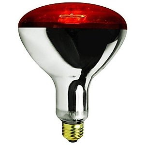Rite Farm Products 125 WATT RED BROODER Heat LAMP Bulb Chicken COOP Hen House Baby Chick 250w