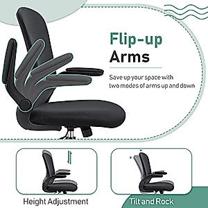 Furmax Ergonomic Office Chair Desk Chair with Flip Up Armrests Mesh Computer Chair Executive Swivel Task Chair with Lumbar Support (Black)