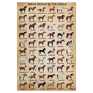 Horse Knowledge Metal Tin Sign Horse Breeds Vintage Poster School Education Country Farm Cafe Living Room Bathroom Kitchen Home Art Wall Decor Plaque 12x16 Inches