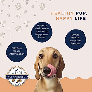 Dog Immunity Boost Powder by Good Trouble Pets - Immunity & Allergy Supplement with Turkey Tail Mushroom Powder for Dogs and Puppies, Critical Immune Defense for Small and Large Breeds (1.9 oz, Beef)