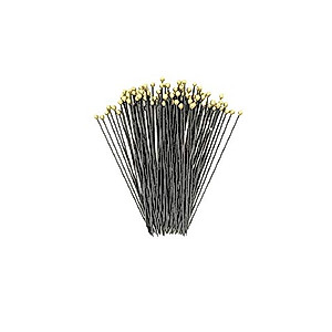 Premium Black Enameled Steel Insect Pins, Size 1, Pack of 100