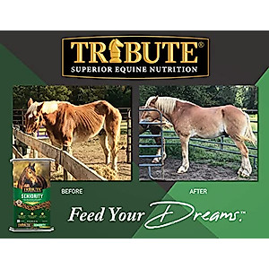 TRIBUTE Kalmbach Feeds Seniority Pellet