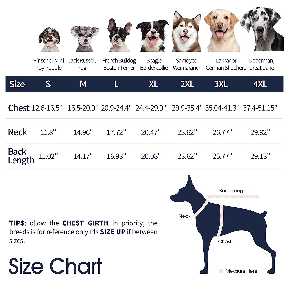 IECOii Extra Warm Dog Coat Reflective Adjustable Dog Jacket Dog Winter Coat with Buckle Fleece Turtleneck Dog Jacket for Cold Weather Soft Winter Coat for Small Medium Extra Large Dogs