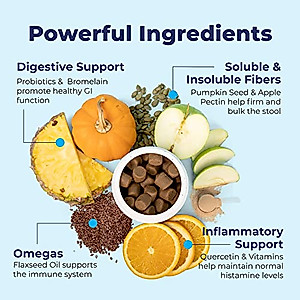 Vetnique Labs Glandex Anal Gland Soft Chew Treats with Pumpkin for Dogs Digestive Enzymes, Probiotics Fiber Supplement for Dogs Boot The Scoot (Peanut Butter Chews, 60ct)