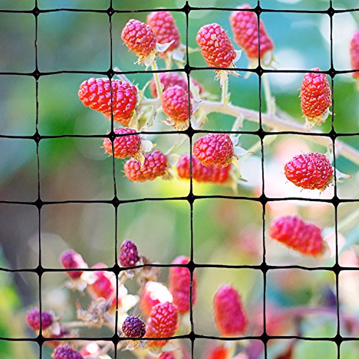 Bird-X Standard Bird Netting, Ideal for Gardens and Lightweight Applications, UV-Stabilized Mesh Netting with 3/4" Hole Opening, Easy to Install, 100' x 14'