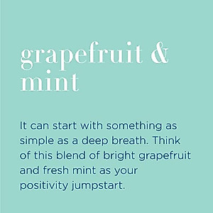 EO Shower Gel Body Wash, 16 Ounce (Pack of 2), Grapefruit and Mint, Organic Plant-Based Skin Conditioning Cleanser with Pure Essentials Oils