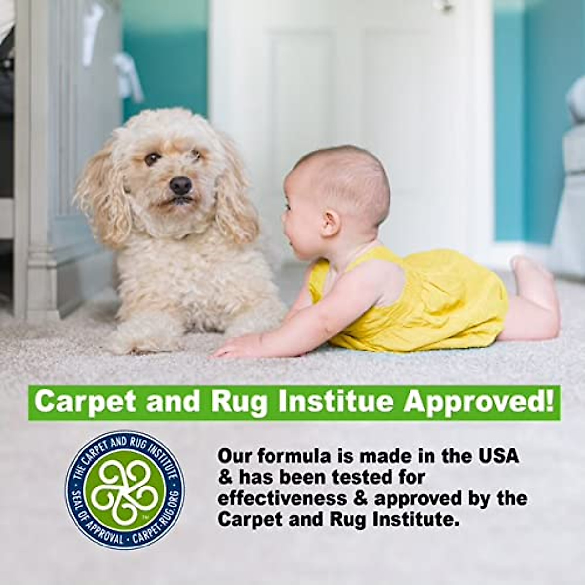 Urine Gone ProClean Stain and Odor Remover, Multi-Surface, Eliminates Tough Dog Cat People Stains, and Odor on Wood, Carpet, Vinyl, and Tile Floors, 20 Fl Oz