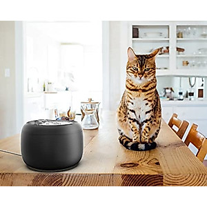 Nugget Lite Pet Water Fountain | 2.5 L Drinking Fountain for Cats and Dogs (Black)