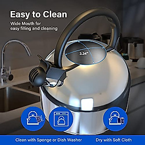 YSSOA Stainless Steel Whistling Tea Kettle, 3.17 Quart, Teapot for Stove top with Wide Mouth, Easy Pouring Spout and Ergonomic Handle, Silver